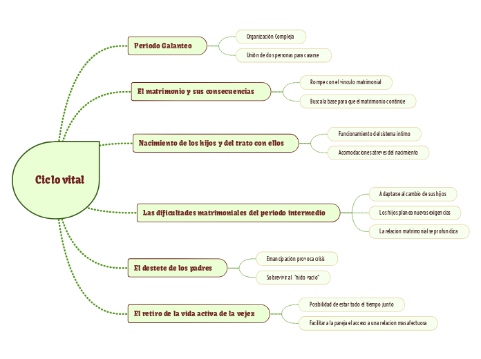 Ciclo vital - Mind Map